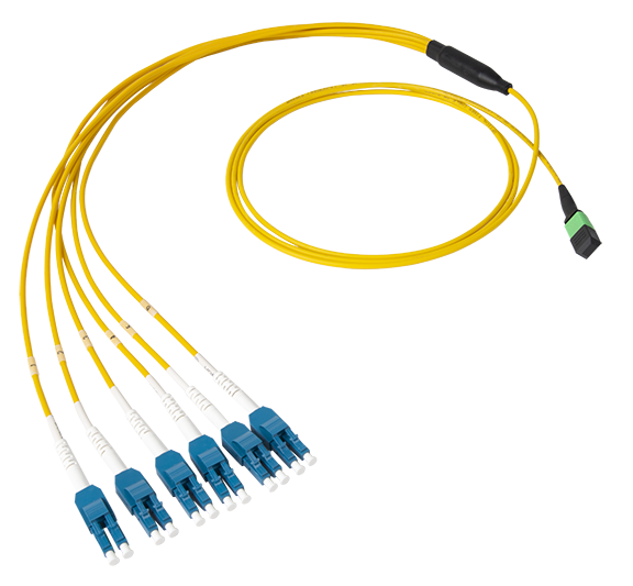 Skinny-Trunk Fiber Optic Trunks